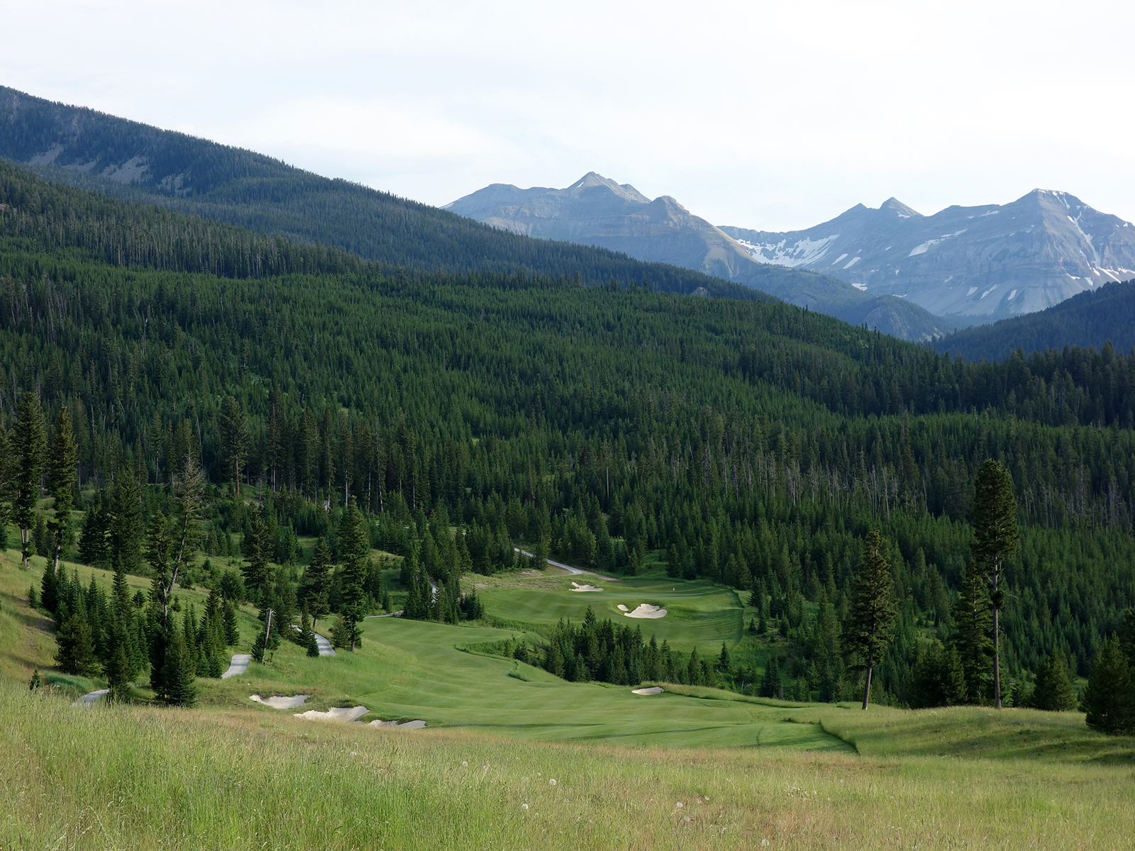 Golf Course Gurus | GolfCourseGurus